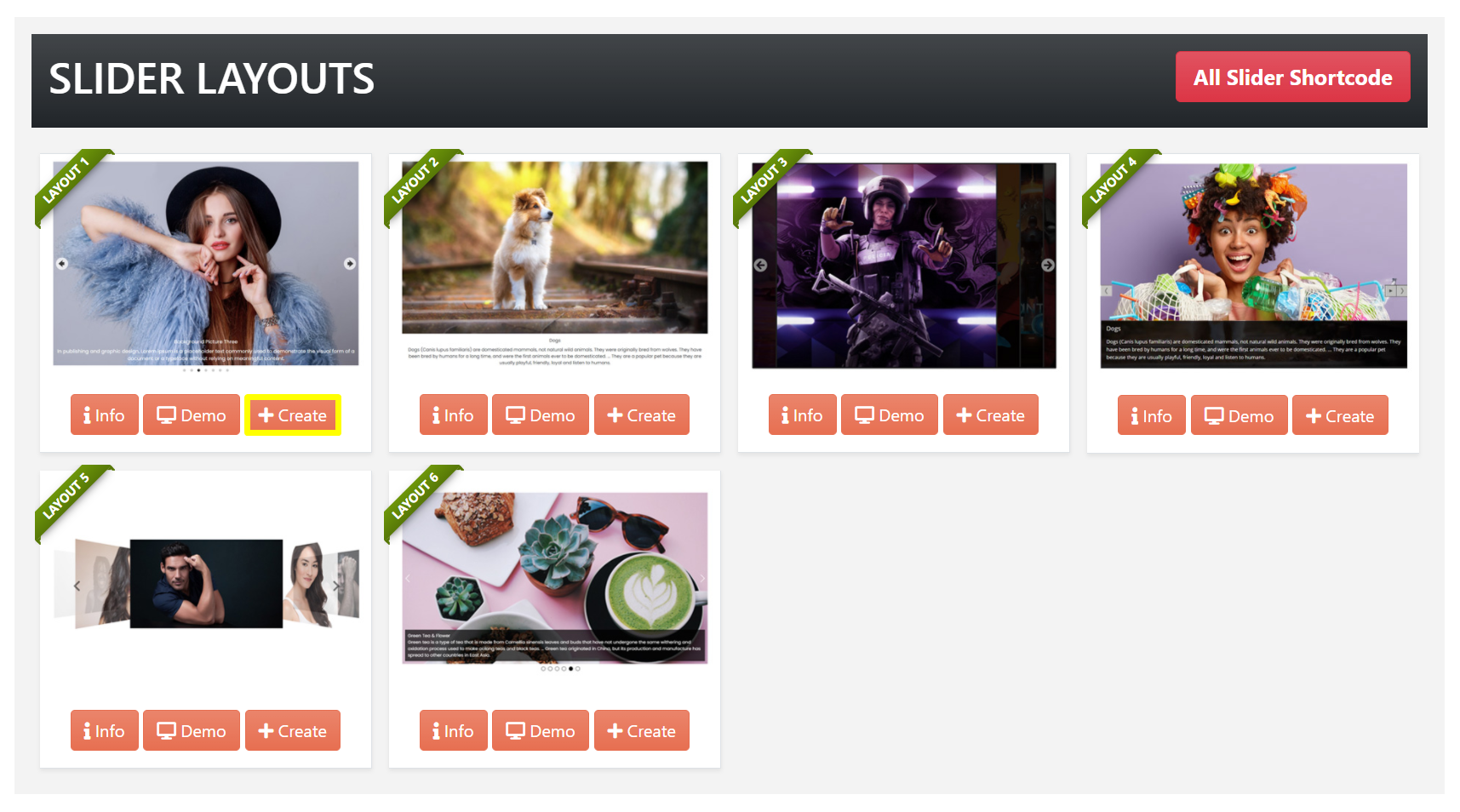 Create Animated Gif Slider On Your WordPress Website homepage